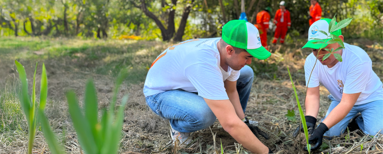 Quiénes somos – Geolis